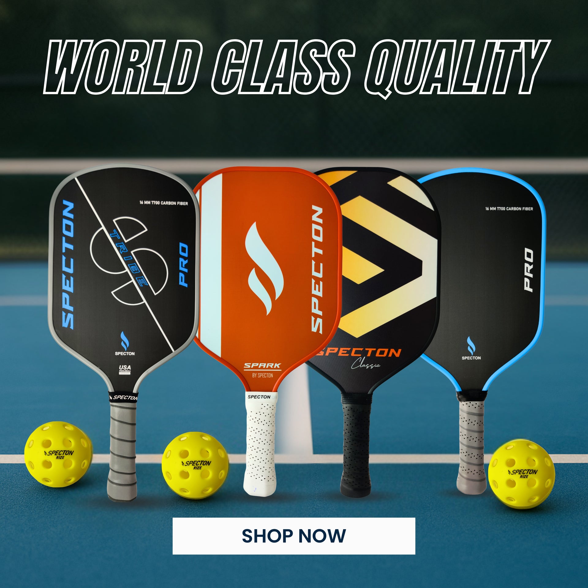 Specton – India’s Pickleball Brand | Paddles, Nets & Gear